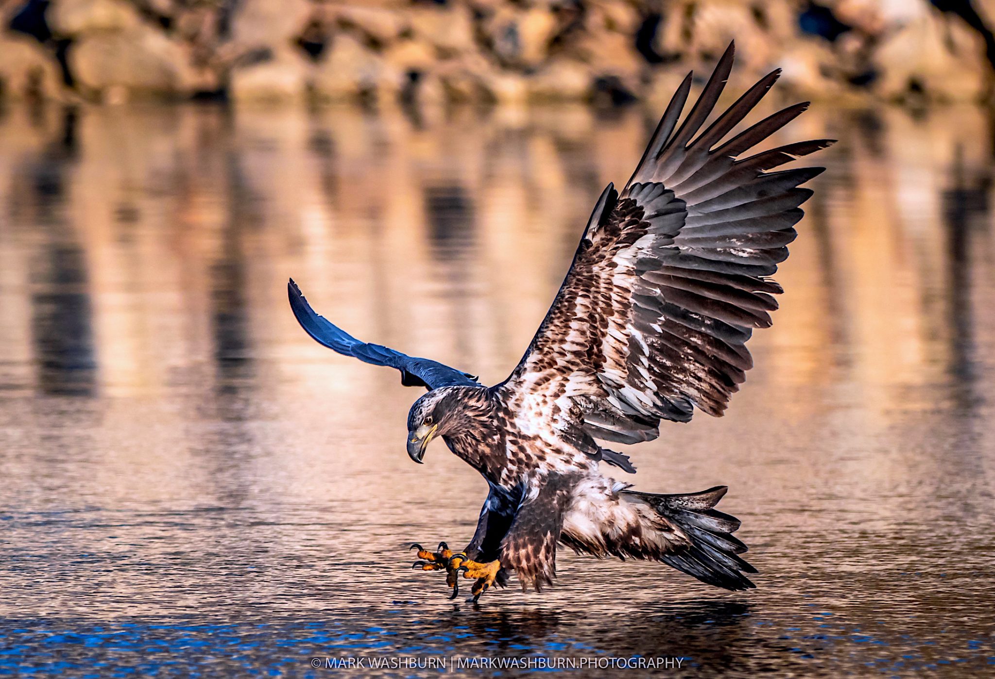Eagle Strike